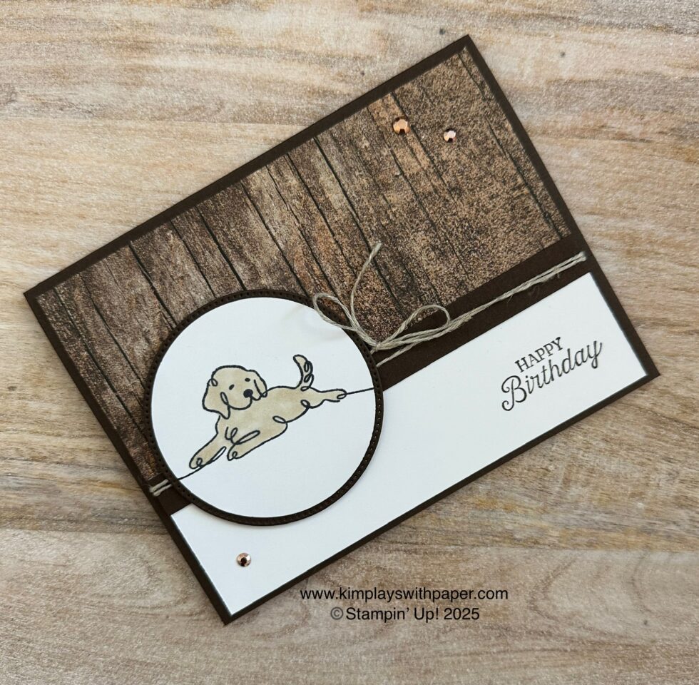 Along These Lines Birthday - Kim Plays with Paper